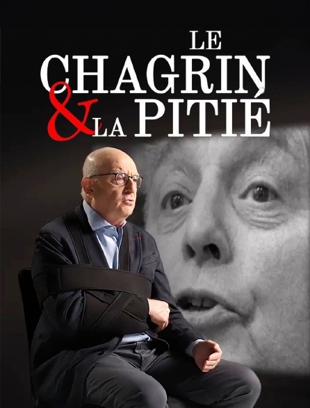 Le chagrin et la pitié : la France de Vichy dynamitée, de Joseph Beauregard